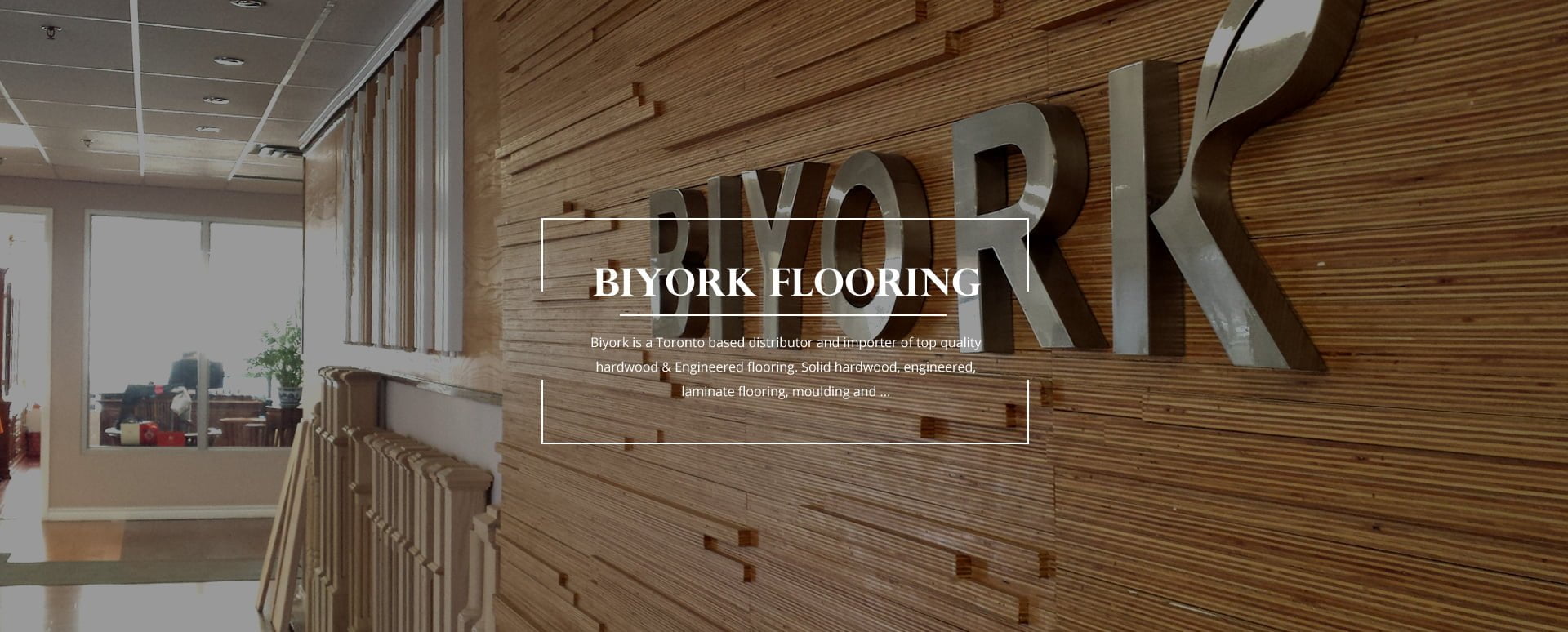 Web-Biyork - Phoenix Wise Web Design & SEO Toronto